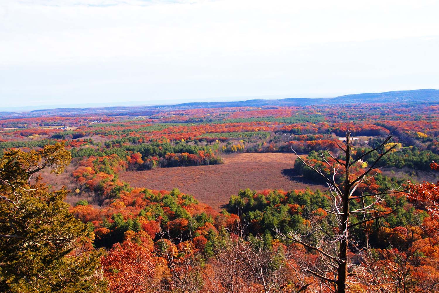 Cathles – Simsbury Land Trust