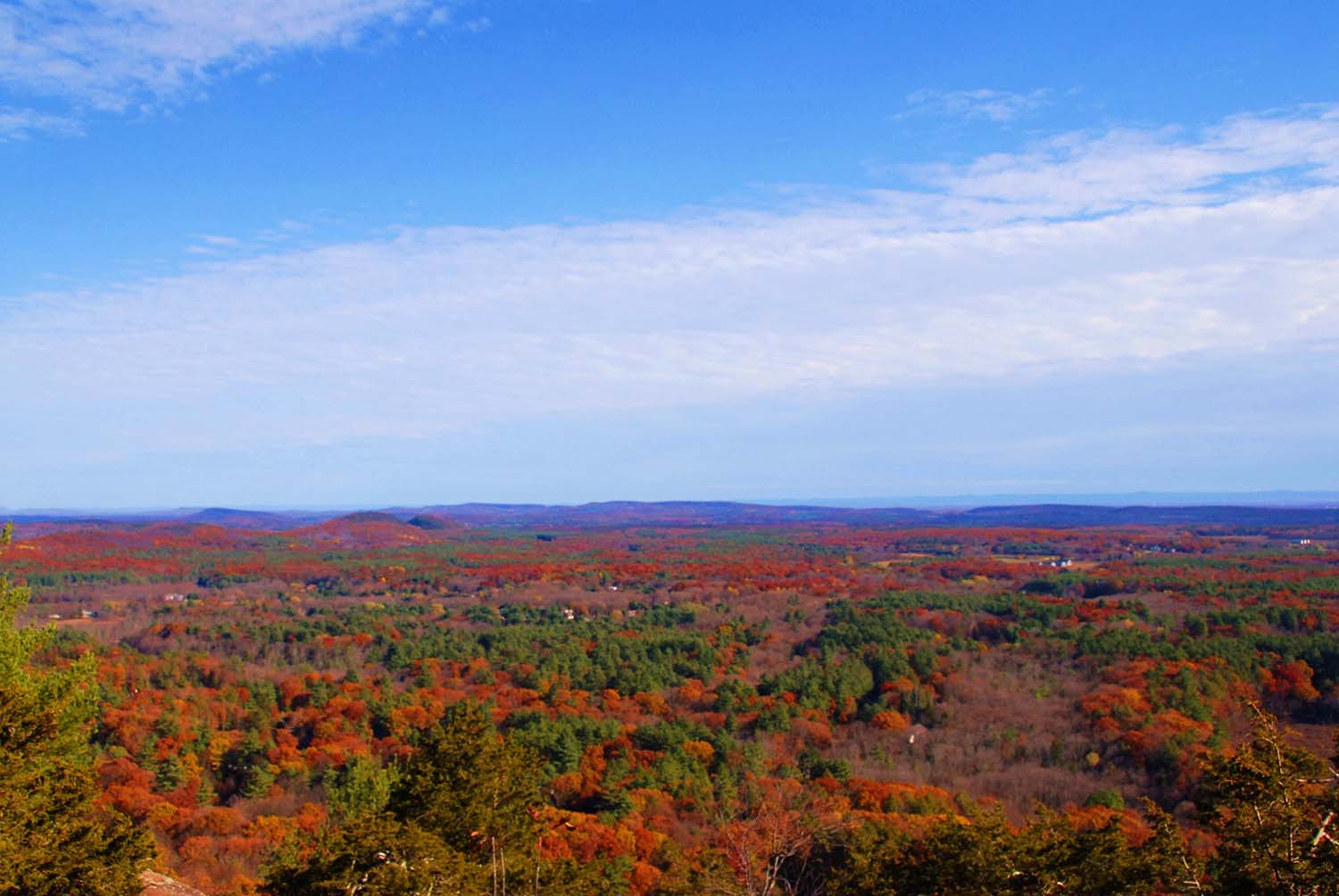 Cathles – Simsbury Land Trust
